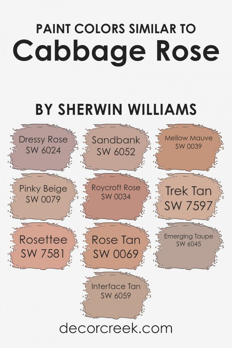 Cabbage Rose SW 0003 Paint Color by Sherwin Williams - DecorCreek