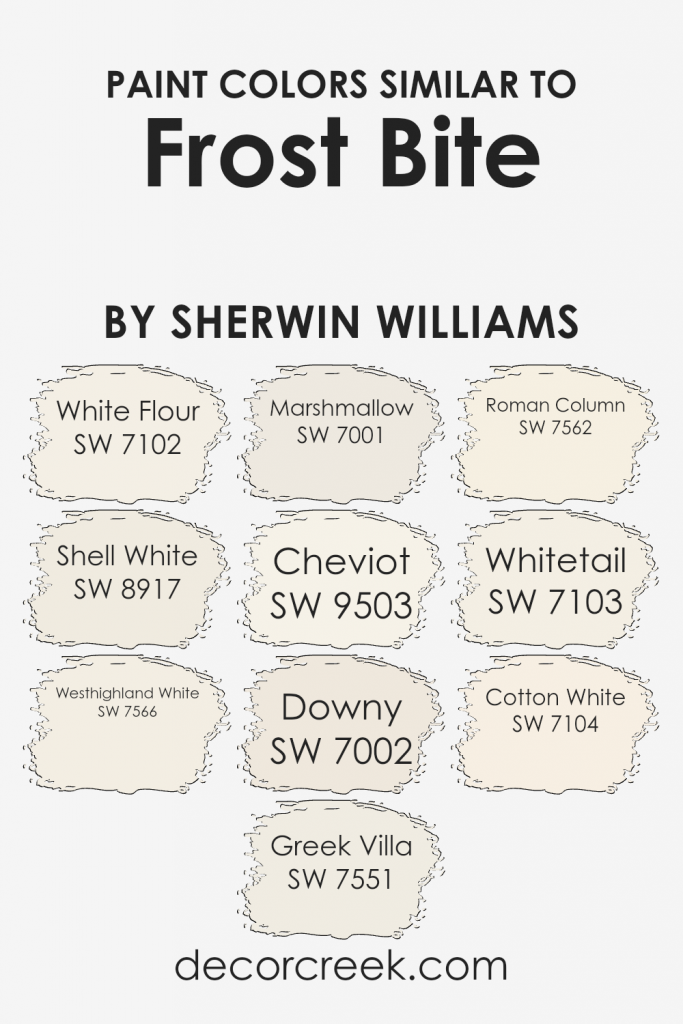 Frost Bite SW 9505 Paint Color by Sherwin Williams - DecorCreek