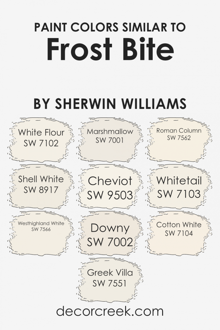 Frost Bite SW 9505 Paint Color by Sherwin Williams - DecorCreek