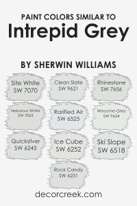 Intrepid Grey SW 9556 Paint Color by Sherwin Williams - DecorCreek