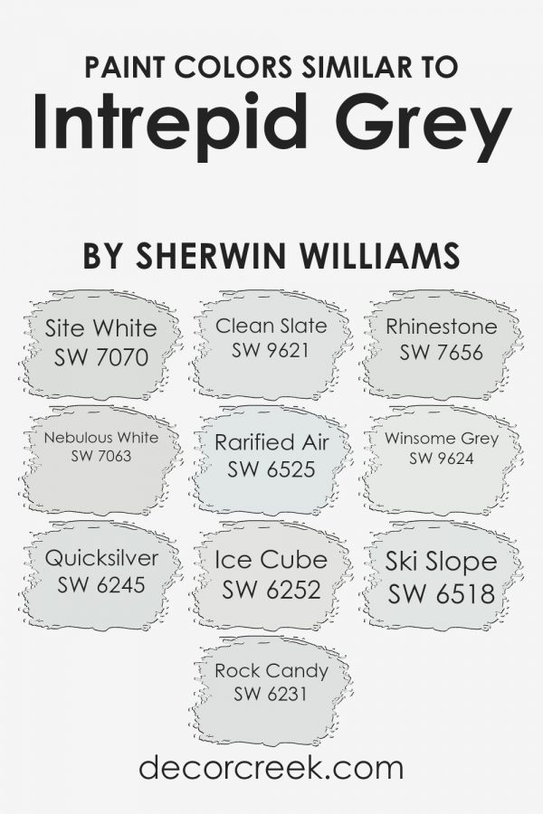 Intrepid Grey SW 9556 Paint Color by Sherwin Williams - DecorCreek