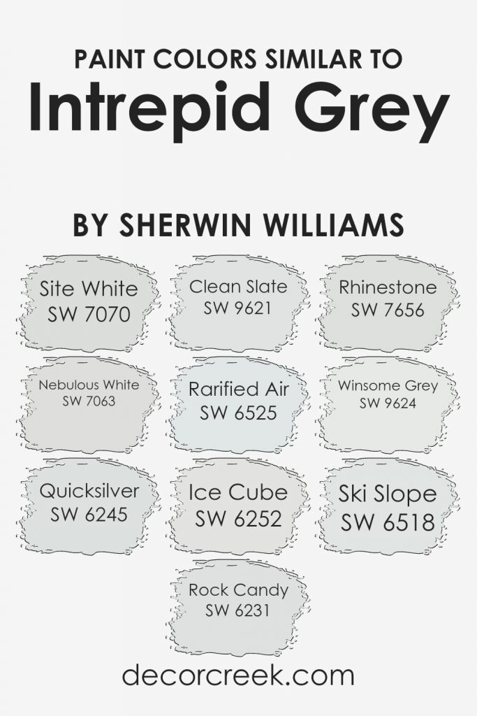 Intrepid Grey SW 9556 Paint Color by Sherwin Williams - DecorCreek