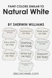 Natural White SW 9542 Paint Color by Sherwin Williams - DecorCreek
