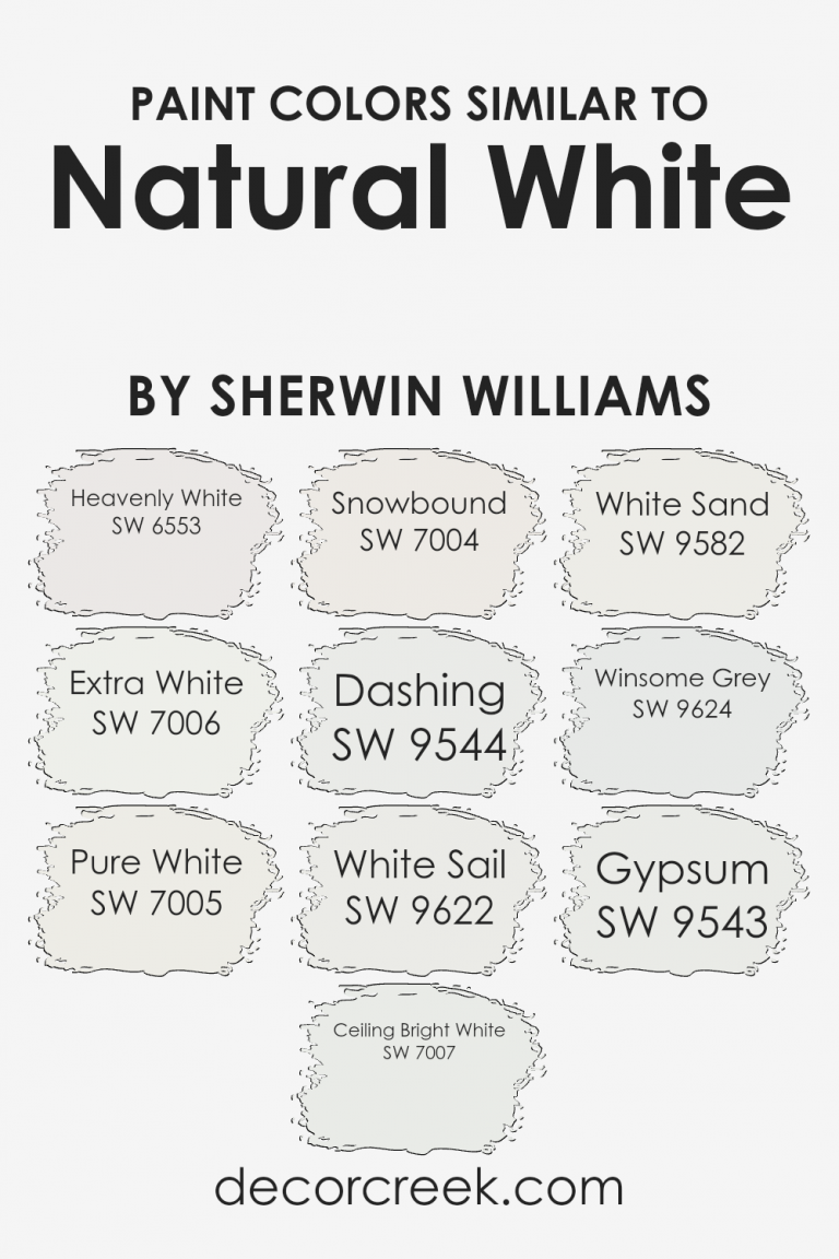 Natural White SW 9542 Paint Color by Sherwin Williams - DecorCreek