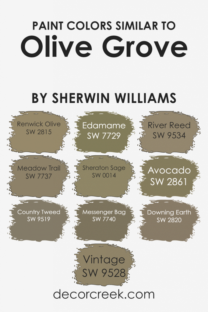 Olive Grove SW 7734 Paint Color by Sherwin Williams - DecorCreek