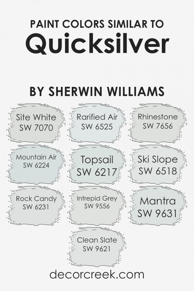 Quicksilver SW 6245 Paint Color by Sherwin Williams - DecorCreek
