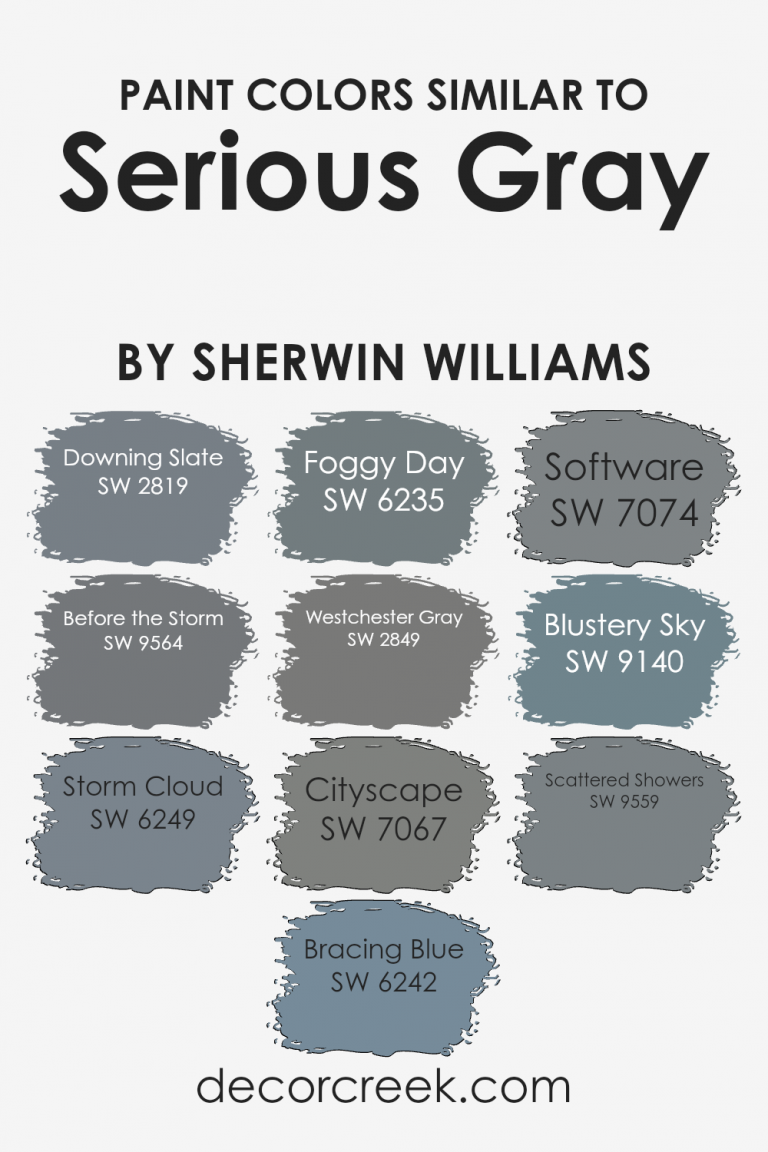 Serious Gray SW 6256 Paint Color by Sherwin Williams - DecorCreek