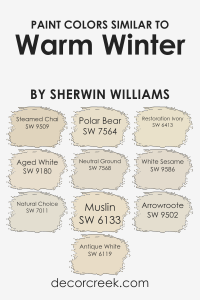 Warm Winter SW 9506 Paint Color by Sherwin Williams - DecorCreek