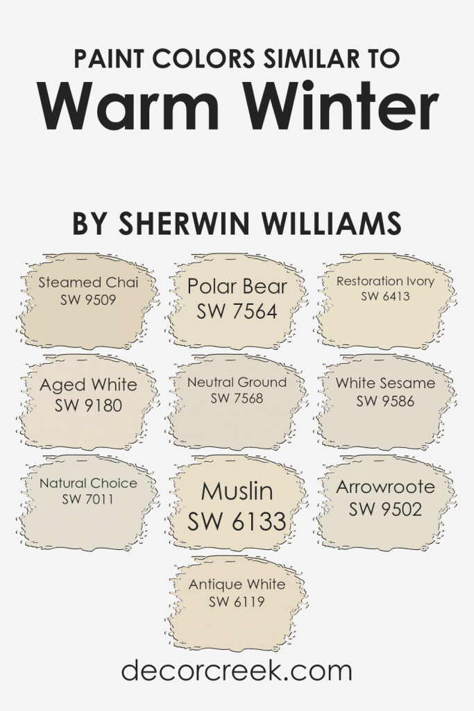 Warm Winter SW 9506 Paint Color by Sherwin Williams - DecorCreek