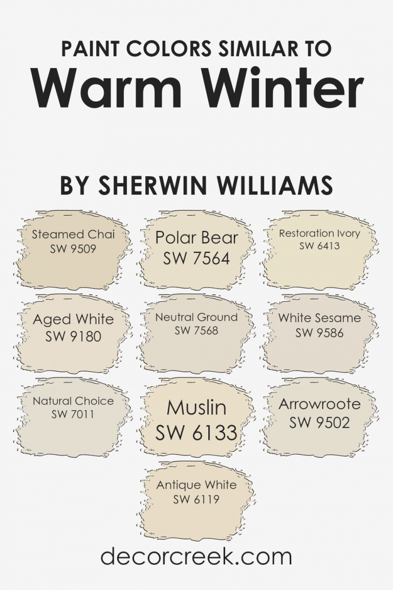 Warm Winter SW 9506 Paint Color by Sherwin Williams - DecorCreek
