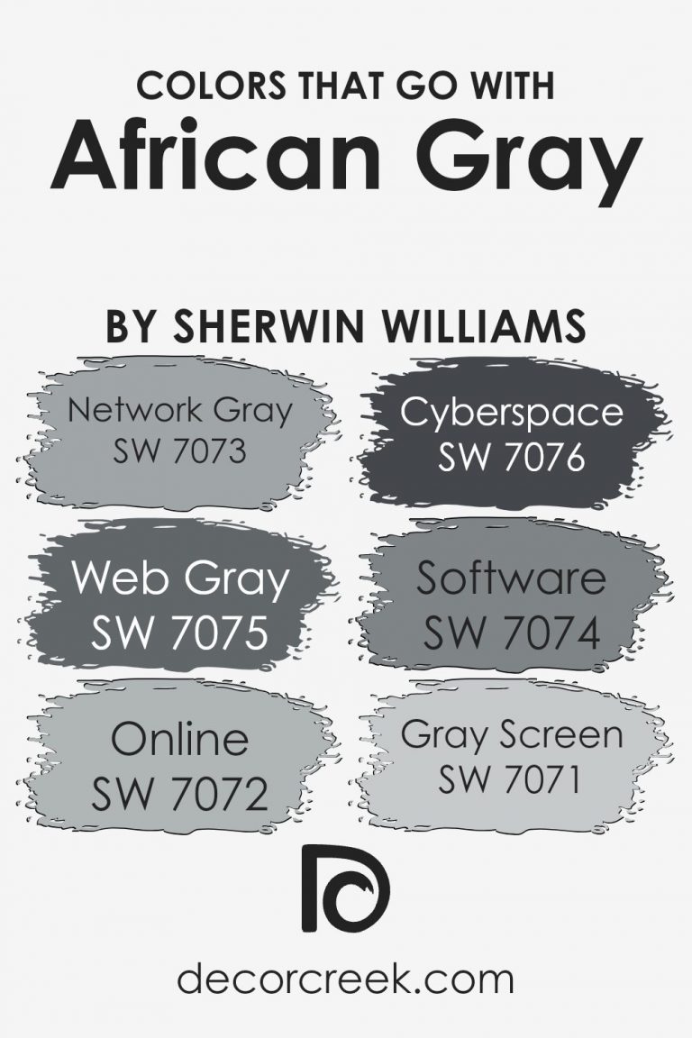 African Gray SW 9162 Paint Color by Sherwin Williams - DecorCreek