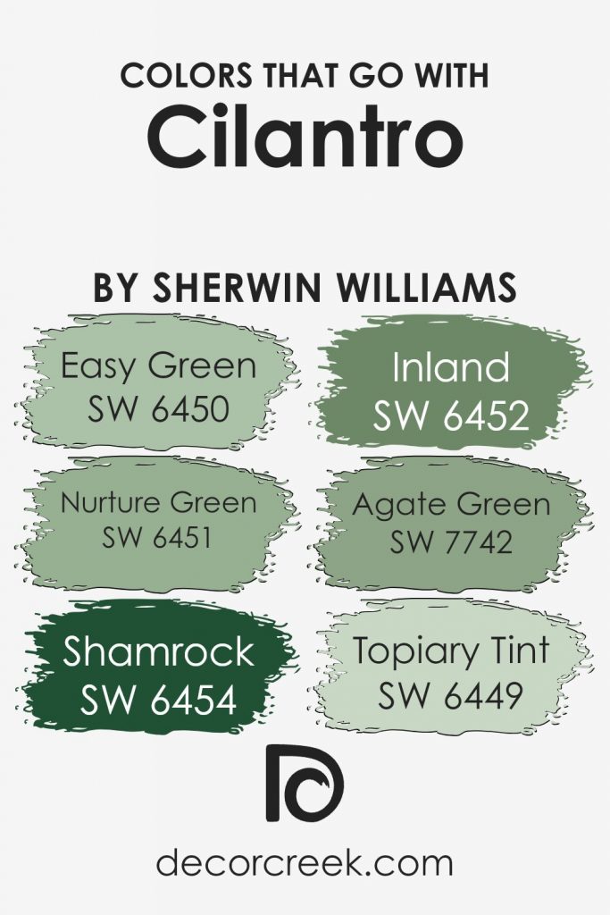 Cilantro SW 6453 Paint Color by Sherwin Williams - DecorCreek