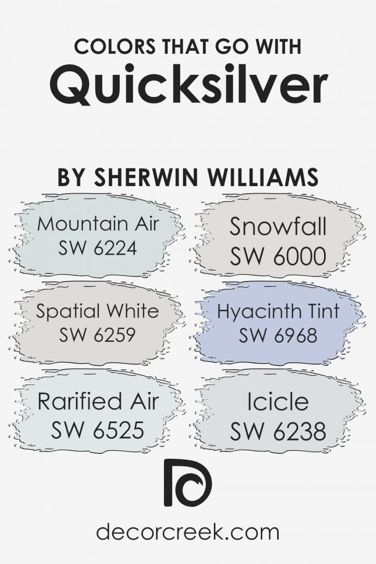 Quicksilver SW 6245 Paint Color by Sherwin Williams - DecorCreek