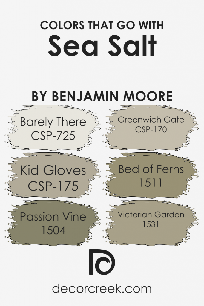 Sea Salt CSP-95 Paint Color by Benjamin Moore - DecorCreek