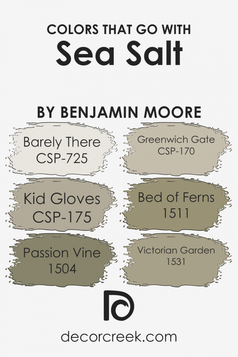 Sea Salt CSP-95 Paint Color by Benjamin Moore - DecorCreek