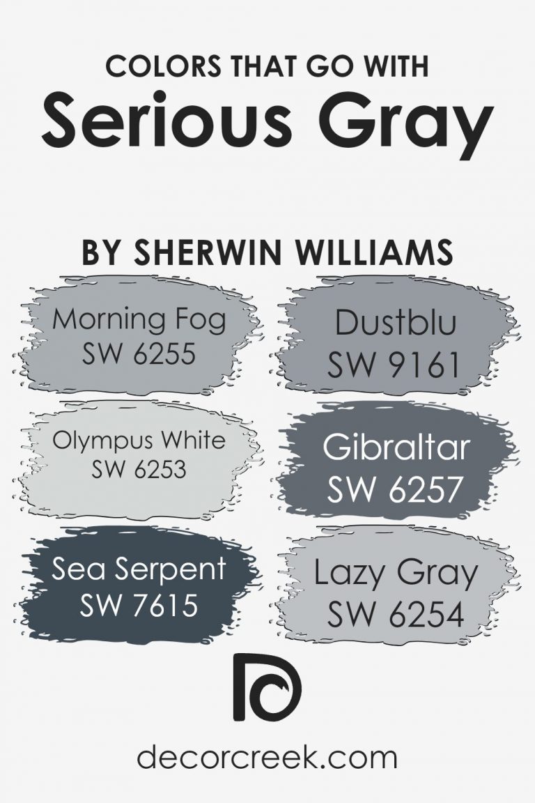 Serious Gray SW 6256 Paint Color by Sherwin Williams - DecorCreek