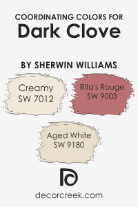 Dark Clove SW 9183 Paint Color by Sherwin Williams - DecorCreek