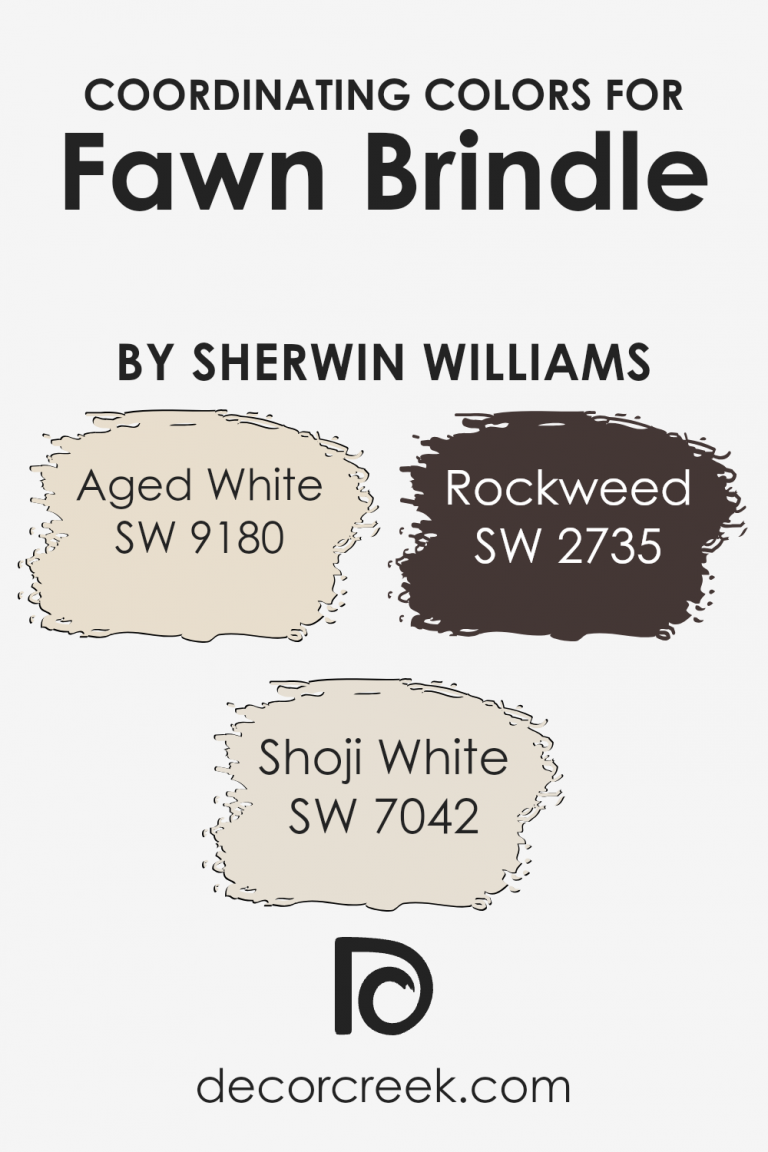Fawn Brindle SW 7640 Paint Color by Sherwin Williams - DecorCreek