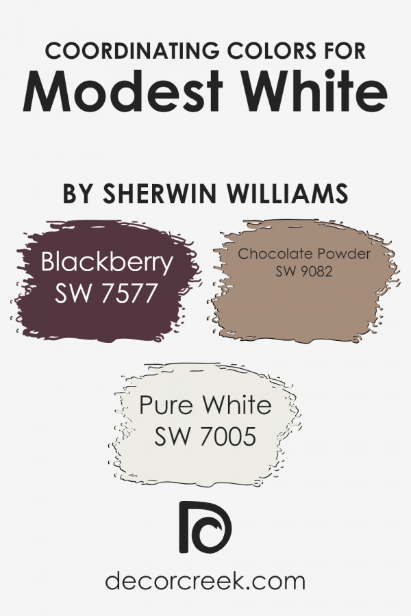 Modest White SW 6084 Paint Color by Sherwin Williams - DecorCreek
