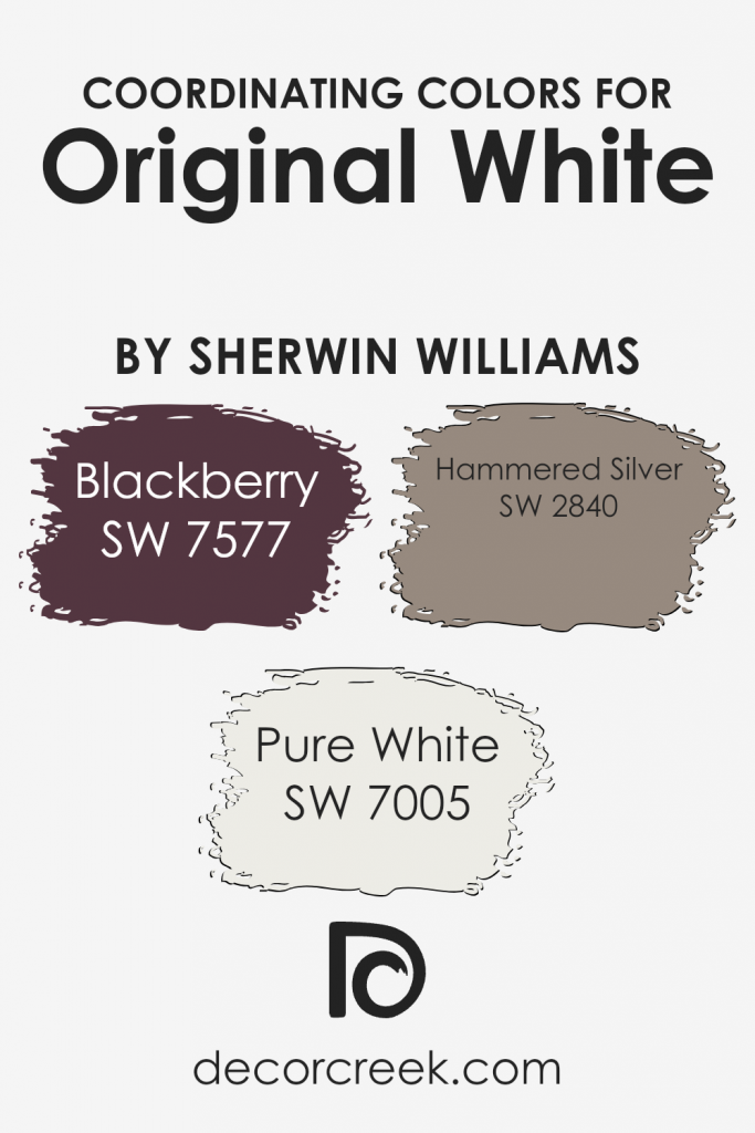 Original White SW 7077 Paint Color by Sherwin Williams - DecorCreek