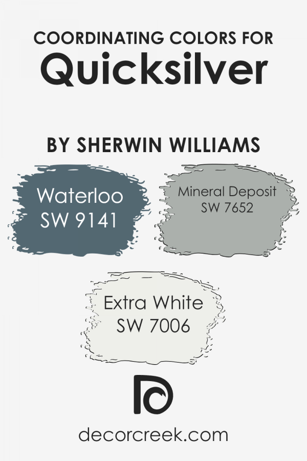 Quicksilver SW 6245 Paint Color by Sherwin Williams - DecorCreek