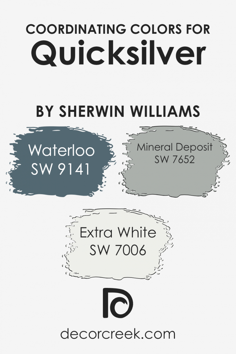 Quicksilver SW 6245 Paint Color by Sherwin Williams - DecorCreek