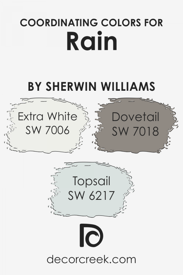 Rain SW 6219 Paint Color by Sherwin Williams - DecorCreek