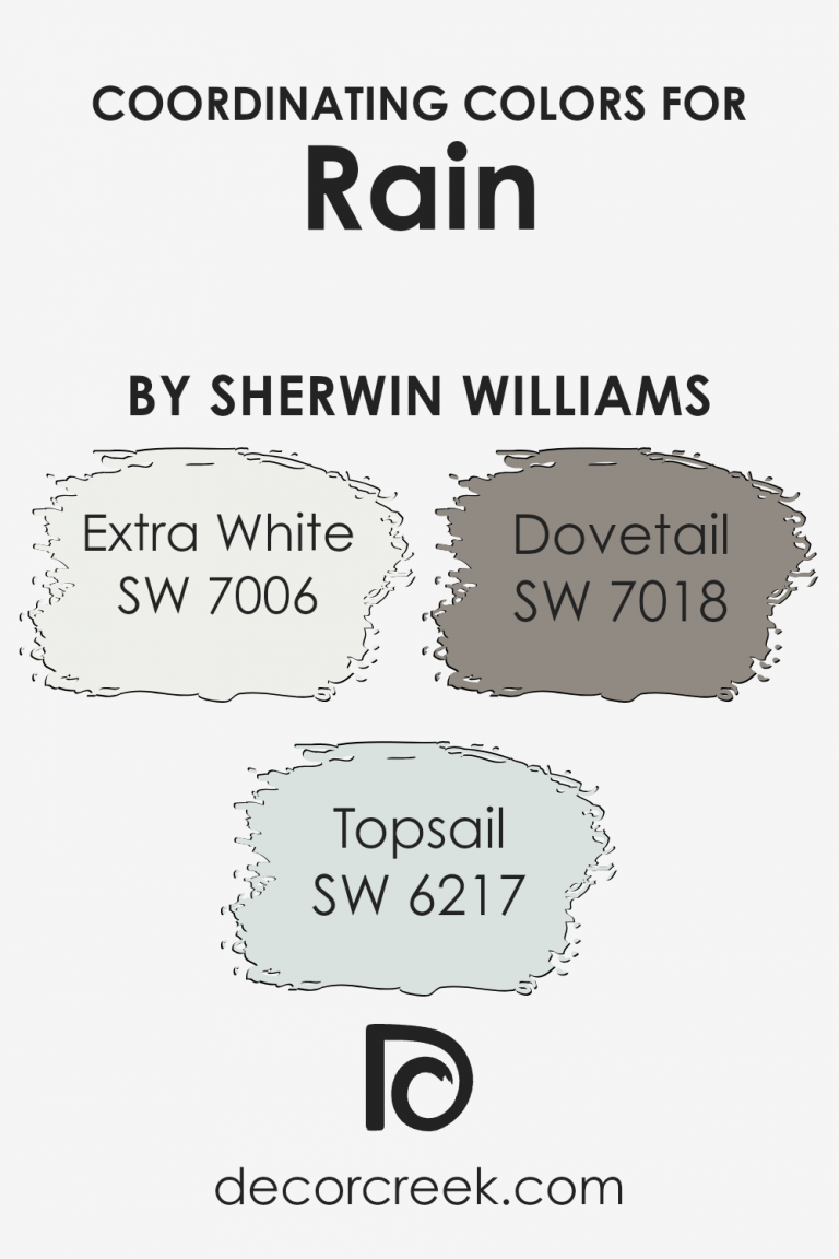 Rain SW 6219 Paint Color by Sherwin Williams - DecorCreek