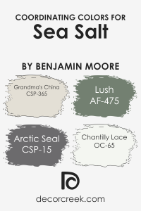 Sea Salt CSP-95 Paint Color by Benjamin Moore - DecorCreek