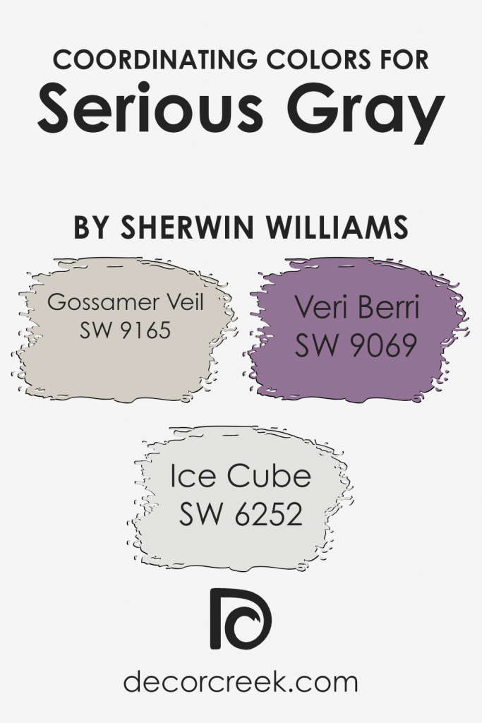 Serious Gray SW 6256 Paint Color by Sherwin Williams - DecorCreek