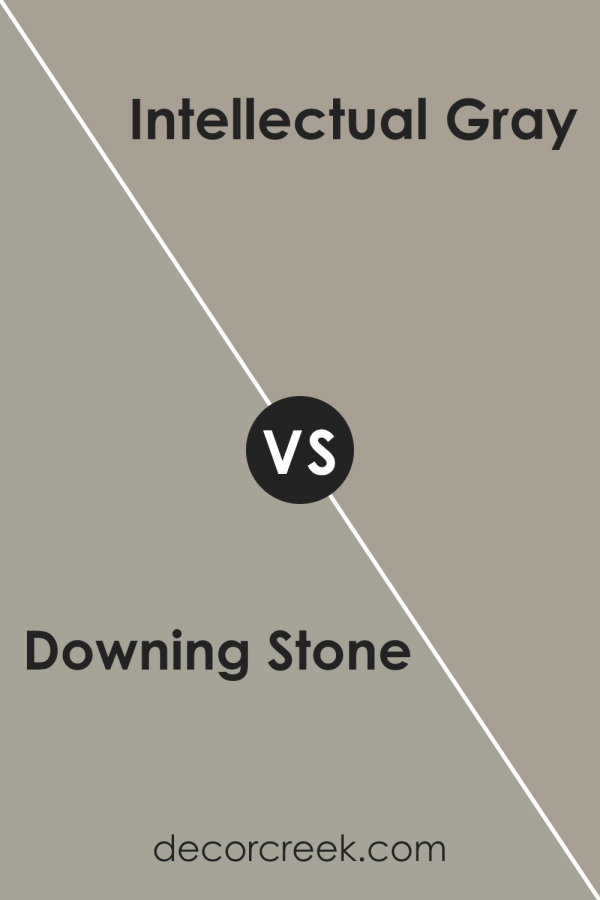 Downing Stone SW 2821 Paint Color by Sherwin Williams - DecorCreek