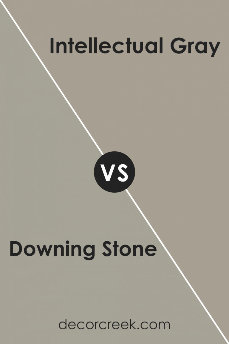 Downing Stone SW 2821 Paint Color by Sherwin Williams - DecorCreek