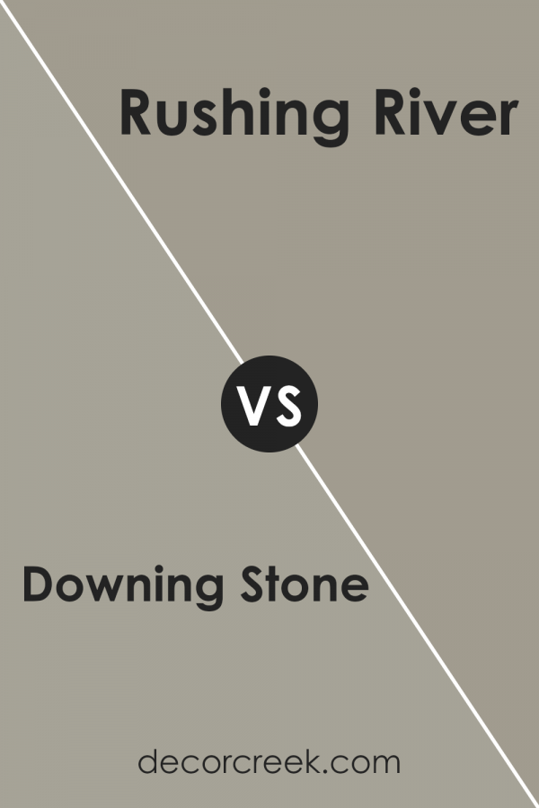 Downing Stone SW 2821 Paint Color by Sherwin Williams - DecorCreek