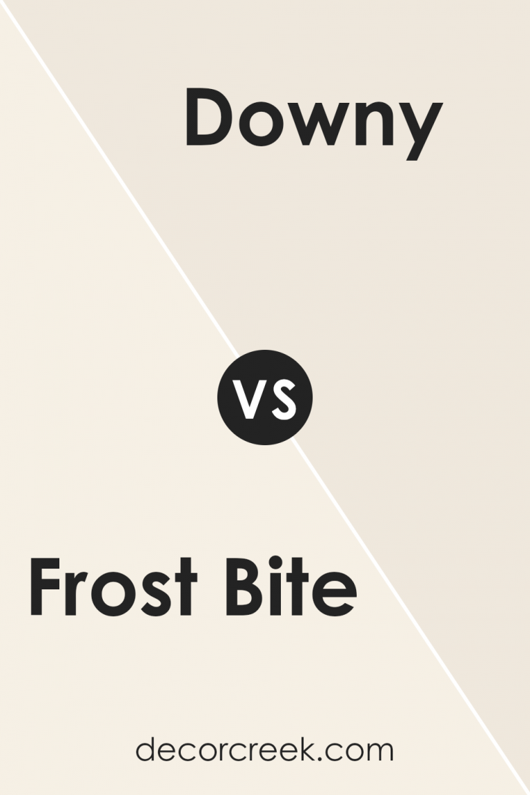 Frost Bite SW 9505 Paint Color by Sherwin Williams - DecorCreek