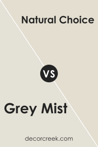 Grey Mist SW 9625 Paint Color by Sherwin Williams - DecorCreek