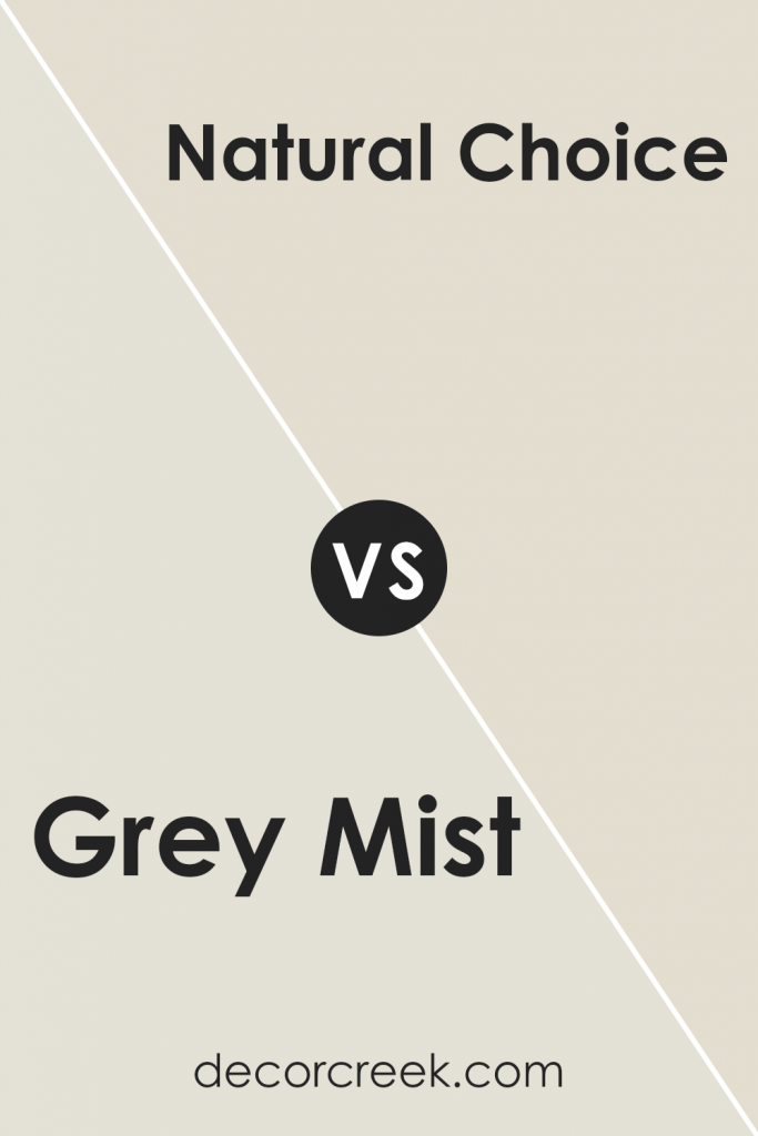 Grey Mist SW 9625 Paint Color by Sherwin Williams - DecorCreek