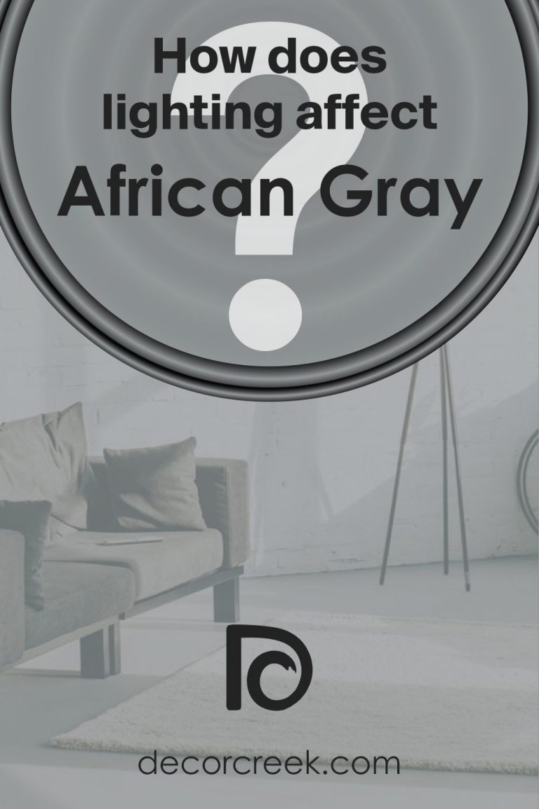 African Gray SW 9162 Paint Color by Sherwin Williams - DecorCreek
