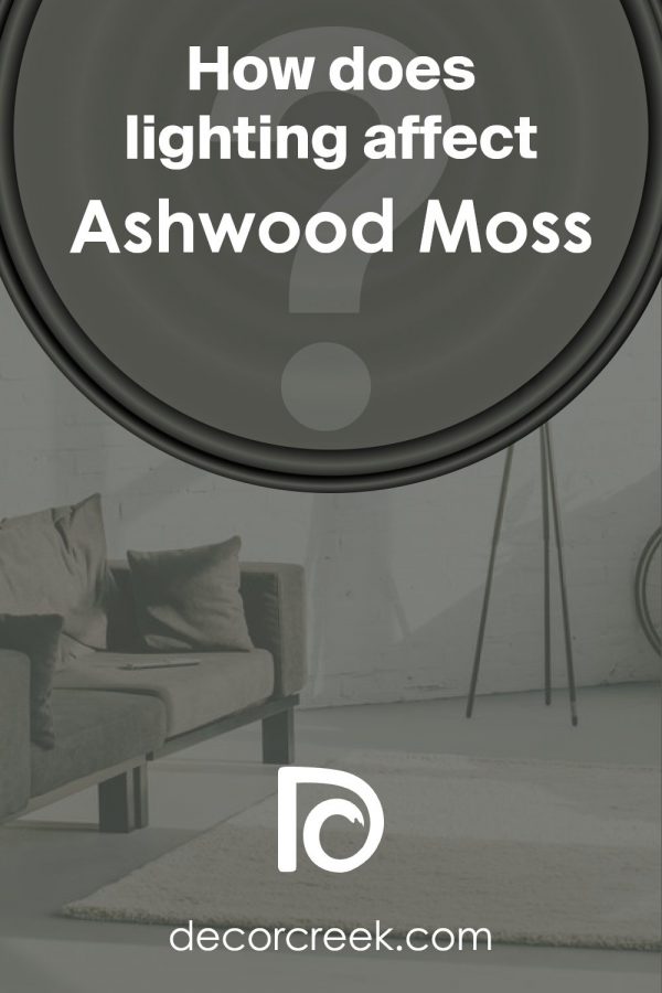 Ashwood Moss 1484 Paint Color by Benjamin Moore - DecorCreek