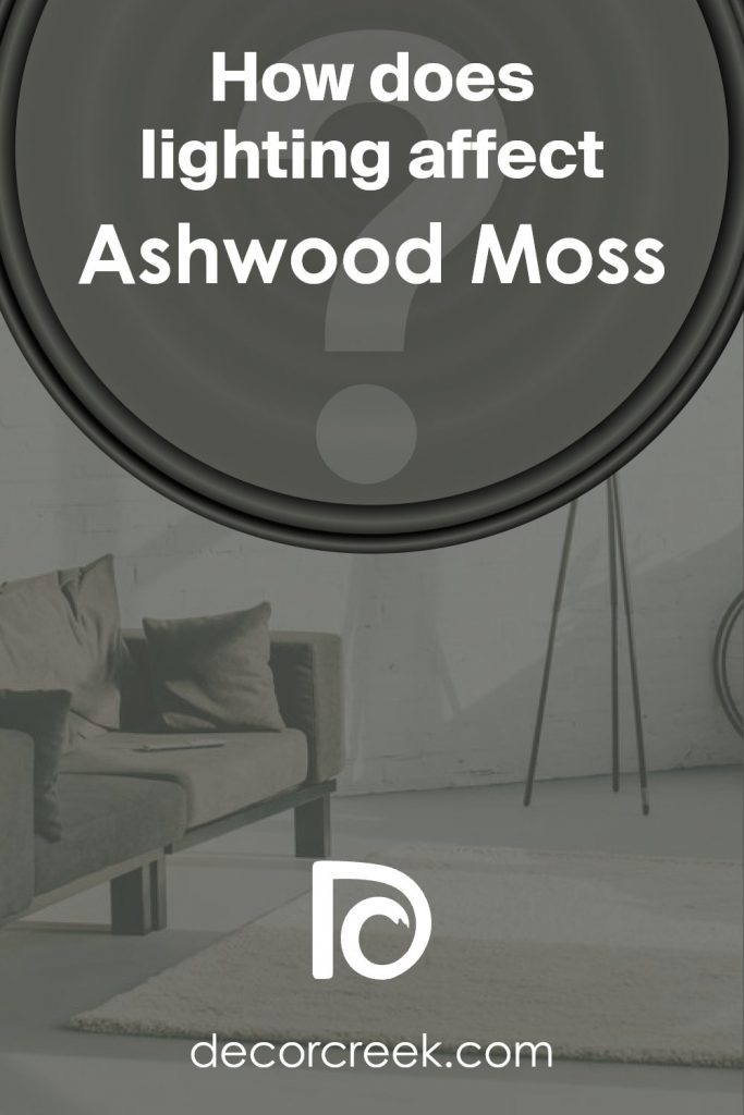 Ashwood Moss 1484 Paint Color by Benjamin Moore - DecorCreek