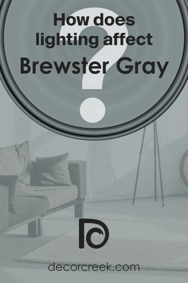 Brewster Gray HC-162 Paint Color by Benjamin Moore - DecorCreek