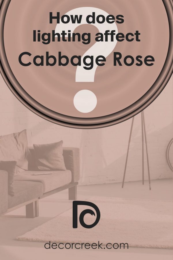 Cabbage Rose SW 0003 Paint Color by Sherwin Williams - DecorCreek