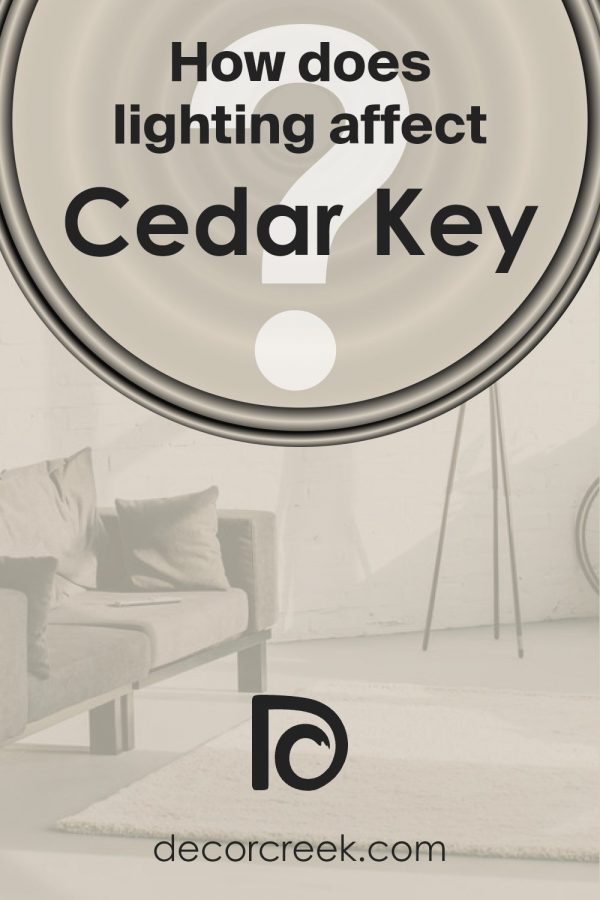 Cedar Key OC-16 Paint Color by Benjamin Moore - DecorCreek