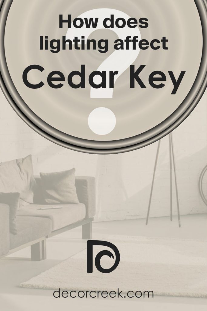 Cedar Key OC-16 Paint Color by Benjamin Moore - DecorCreek