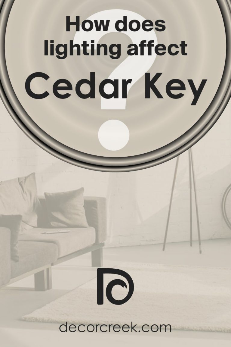 Cedar Key OC-16 Paint Color by Benjamin Moore - DecorCreek