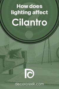 Cilantro SW 6453 Paint Color by Sherwin Williams - DecorCreek