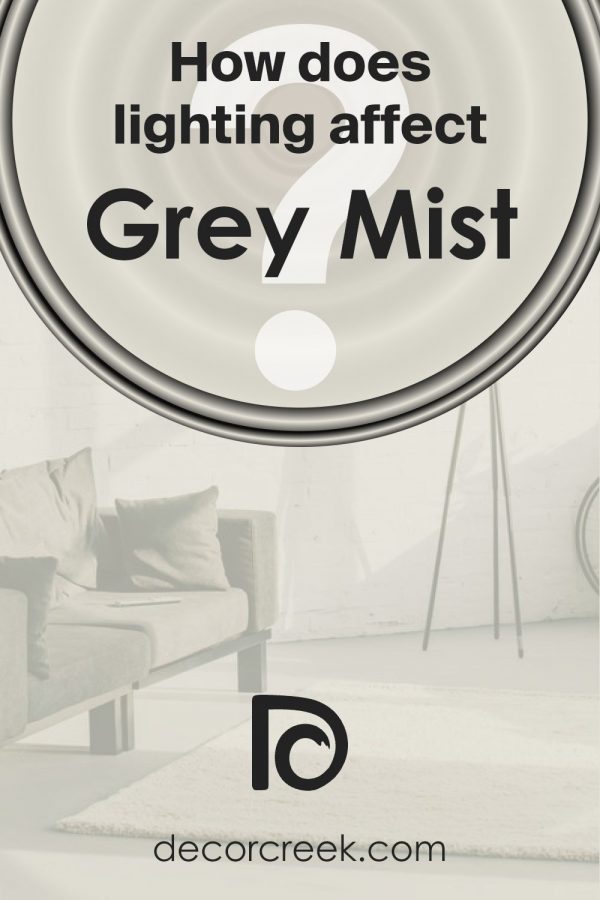 Grey Mist SW 9625 Paint Color by Sherwin Williams - DecorCreek