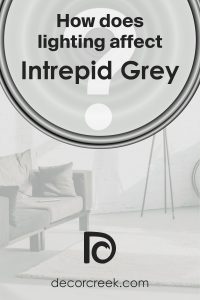 Intrepid Grey SW 9556 Paint Color by Sherwin Williams - DecorCreek