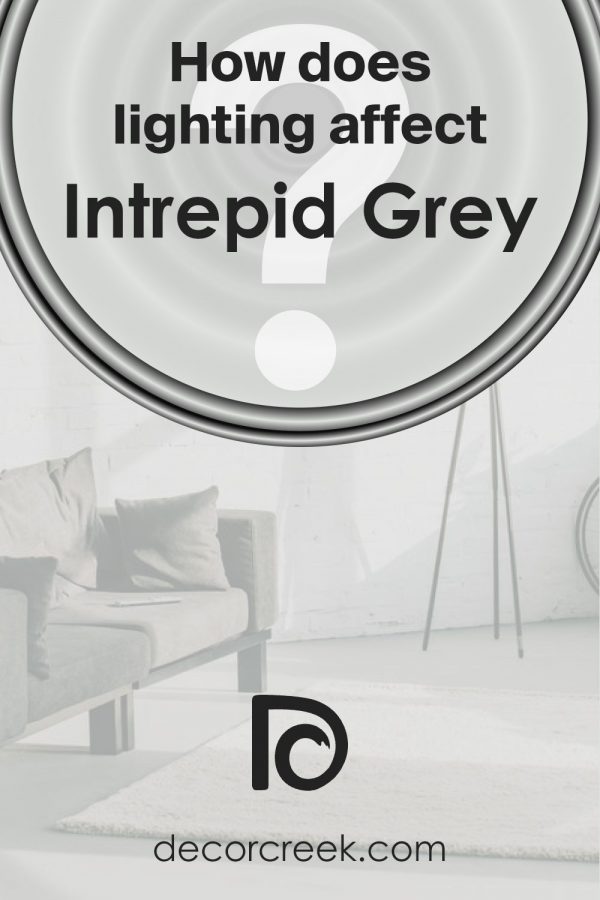 Intrepid Grey SW 9556 Paint Color by Sherwin Williams - DecorCreek