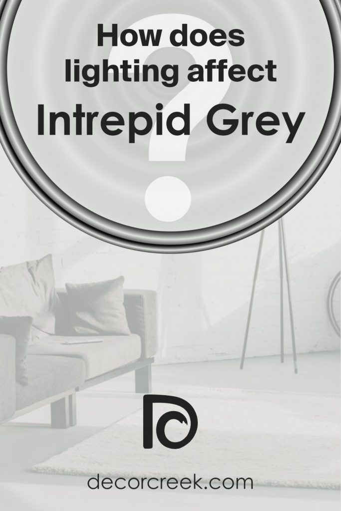 Intrepid Grey SW 9556 Paint Color by Sherwin Williams - DecorCreek
