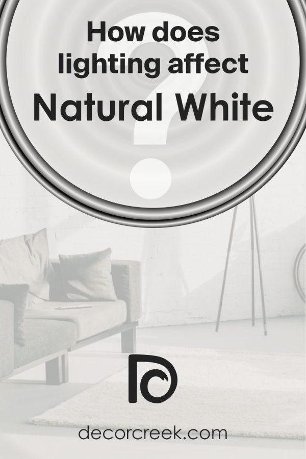Natural White SW 9542 Paint Color by Sherwin Williams - DecorCreek